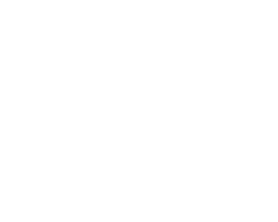 Official Website | Oscar Piastri